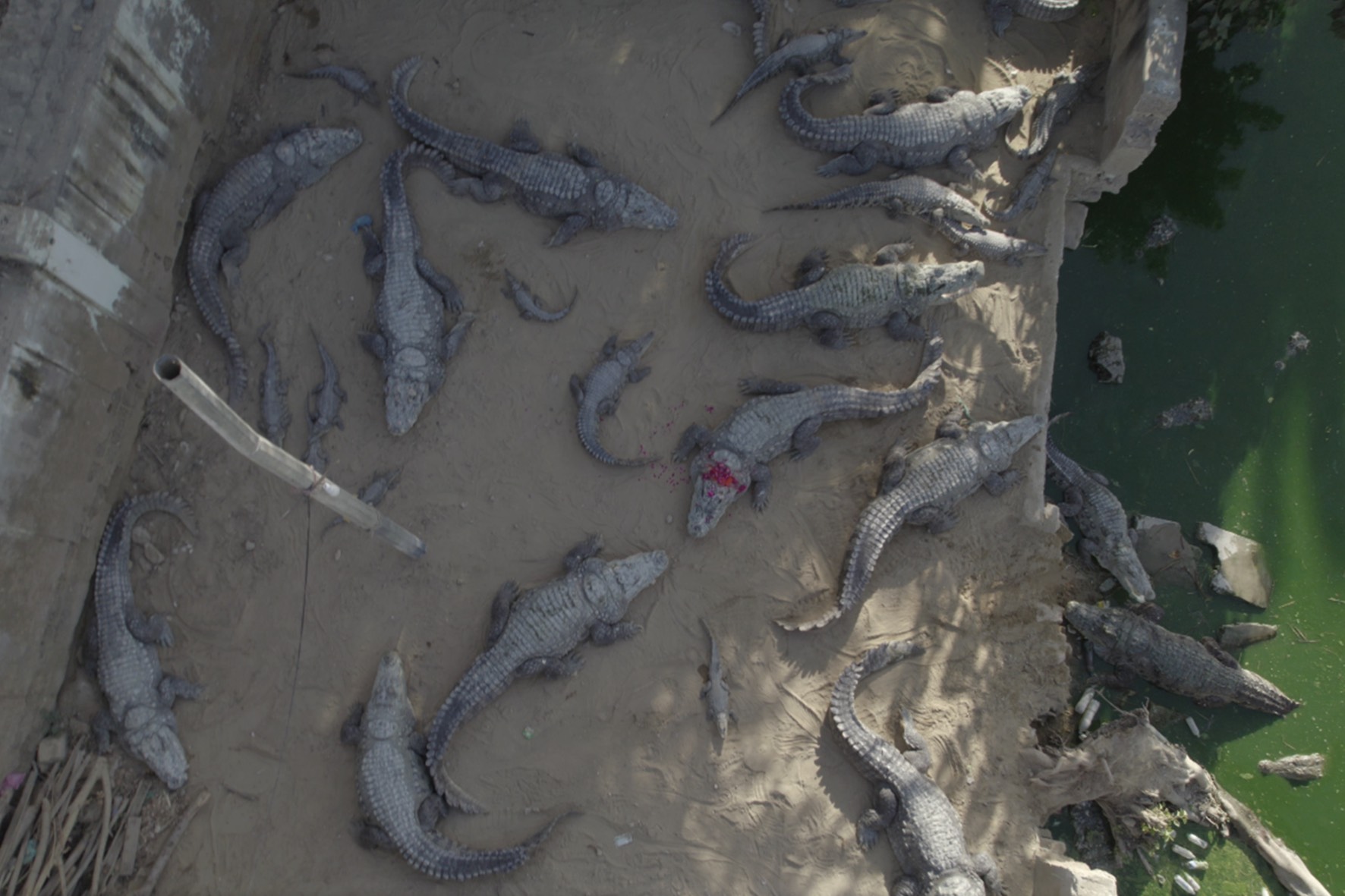 Mudassir Sheikh: Going Inwards – Non-machines: Playground of Perspectives